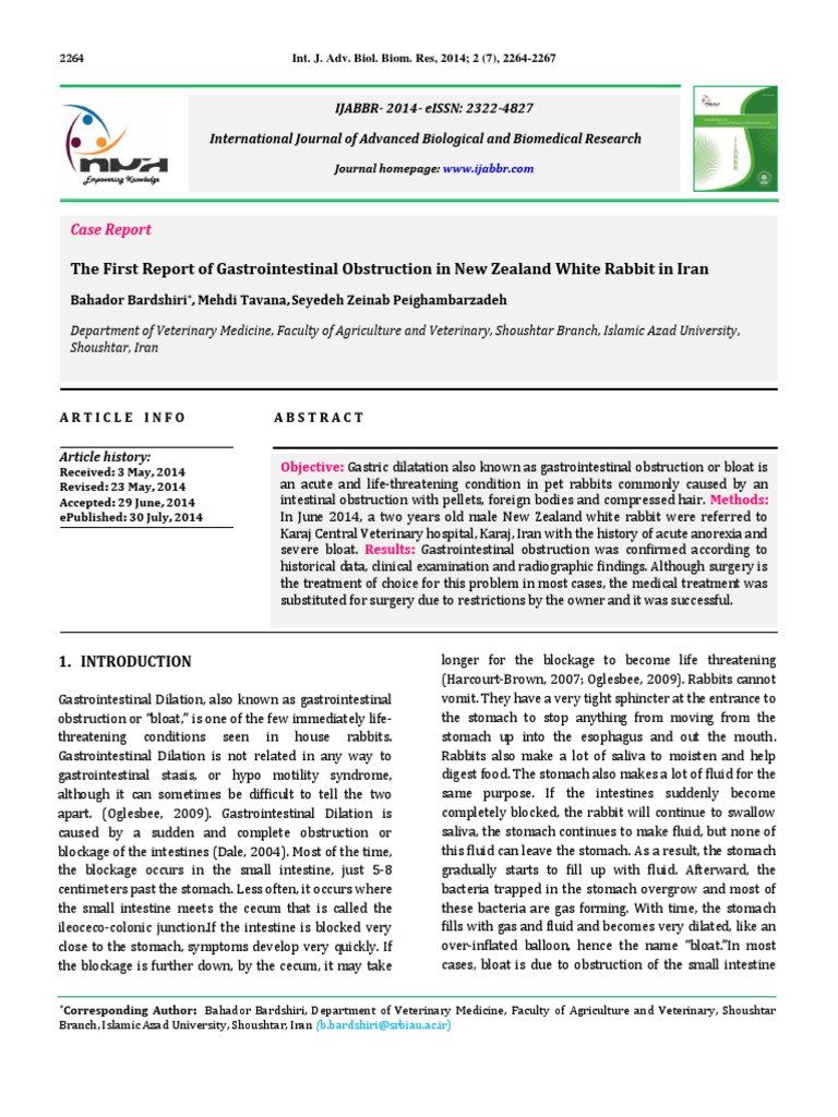 Bloat in Rabbit | PDF | Gastrointestinal Tract | Intravenous Therapy