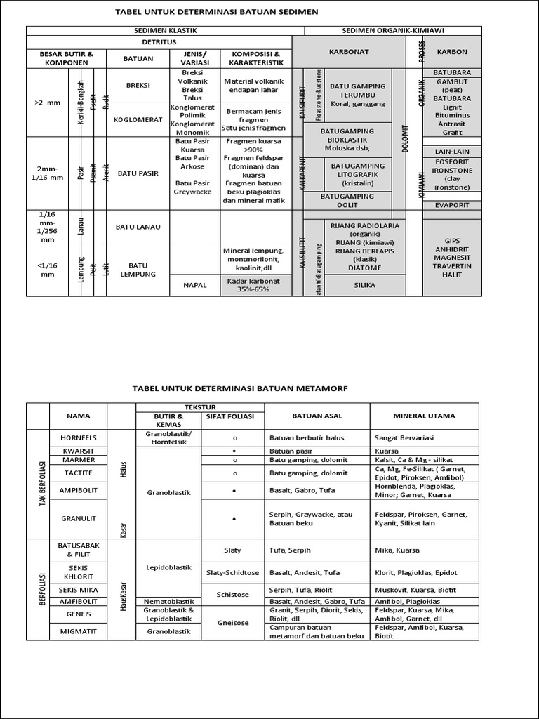 Tabel Determinasi | PDF