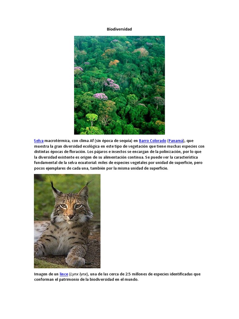 Biodiversidad en la Selva Ecuatorial | PDF | Restauracion Ecologica ...