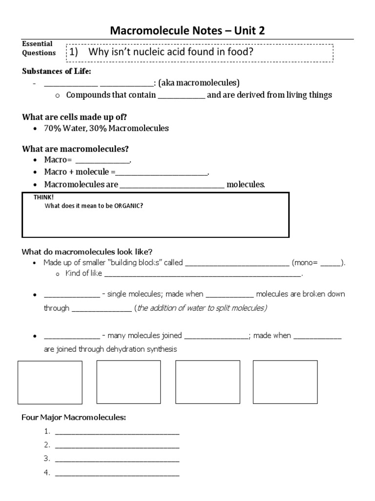 Unit 2 - Macromolecules Guided Notes - 4th Block | PDF | Proteins ...
