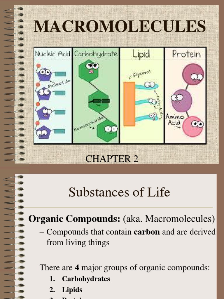 Unit 2 - Chapter 2 - Macromolecules Notes | PDF | Carbohydrates ...