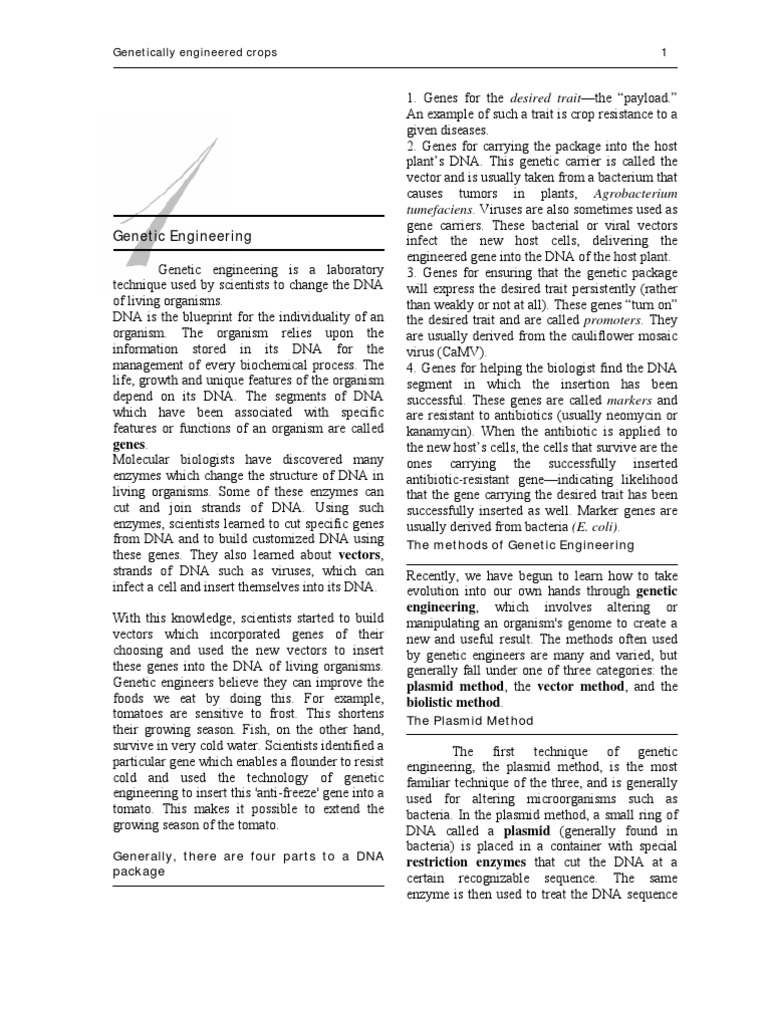 Genetically Engineered Crops | PDF | Rna Interference | Virus