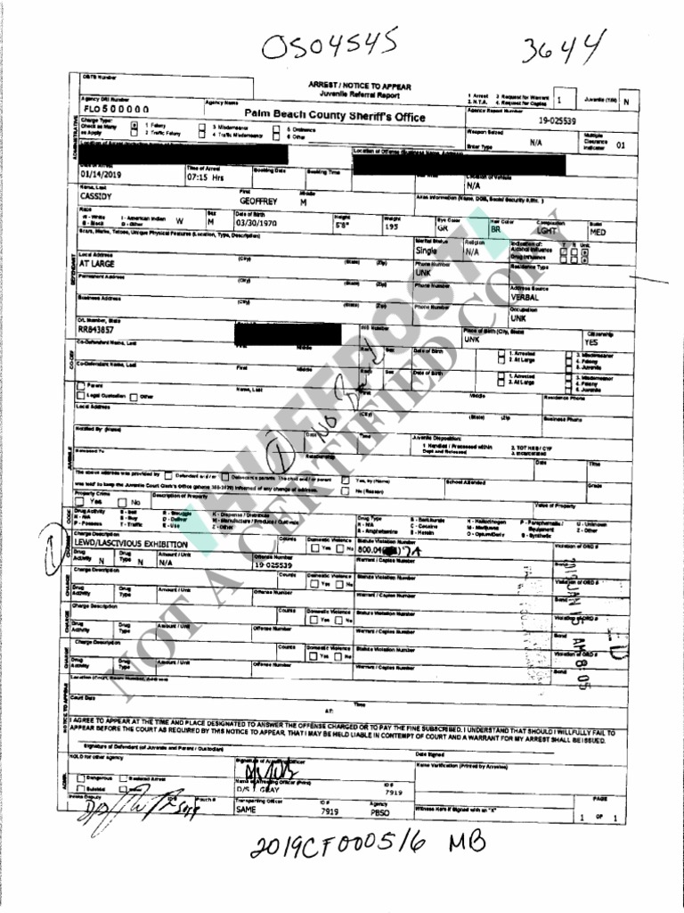 Geoffrey Cassidy Probable Cause Affidavit | PDF