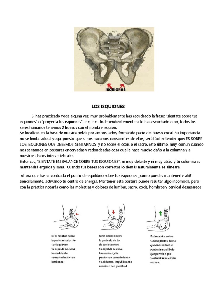 Los Isquiones | PDF