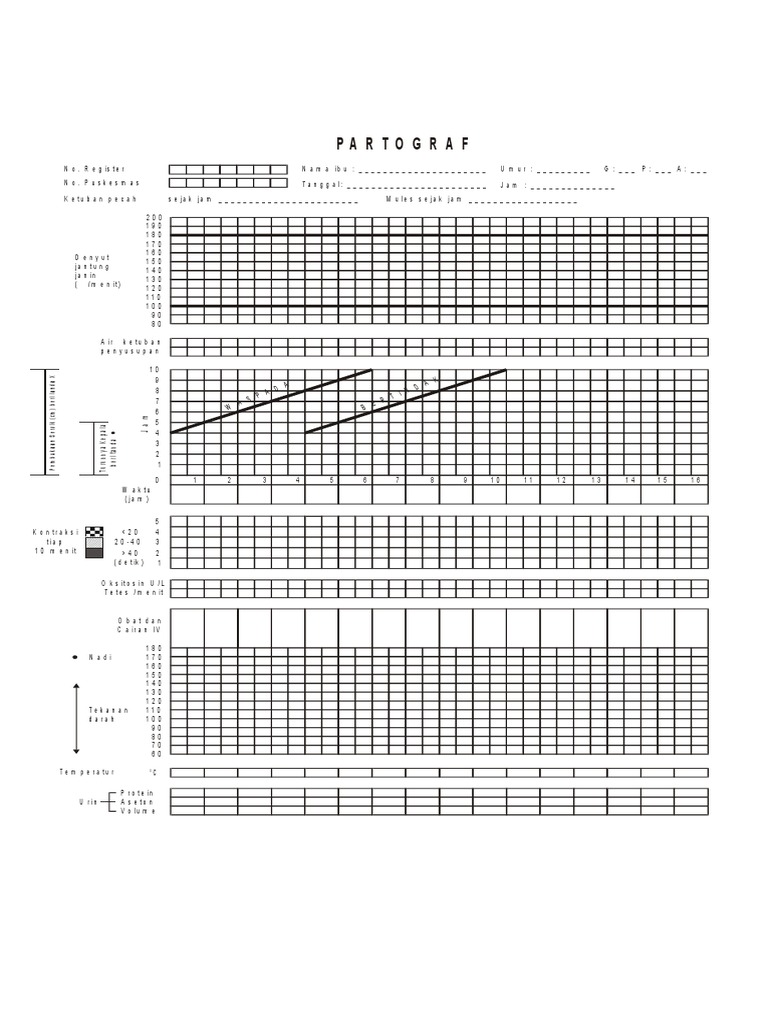 Lembar Partograf | PDF