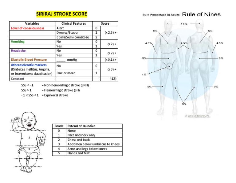 Siriraj Stroke Score: Variables Clinical Features Score | PDF