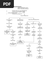 Pathway Penyakit Jantung Bawaan | PDF