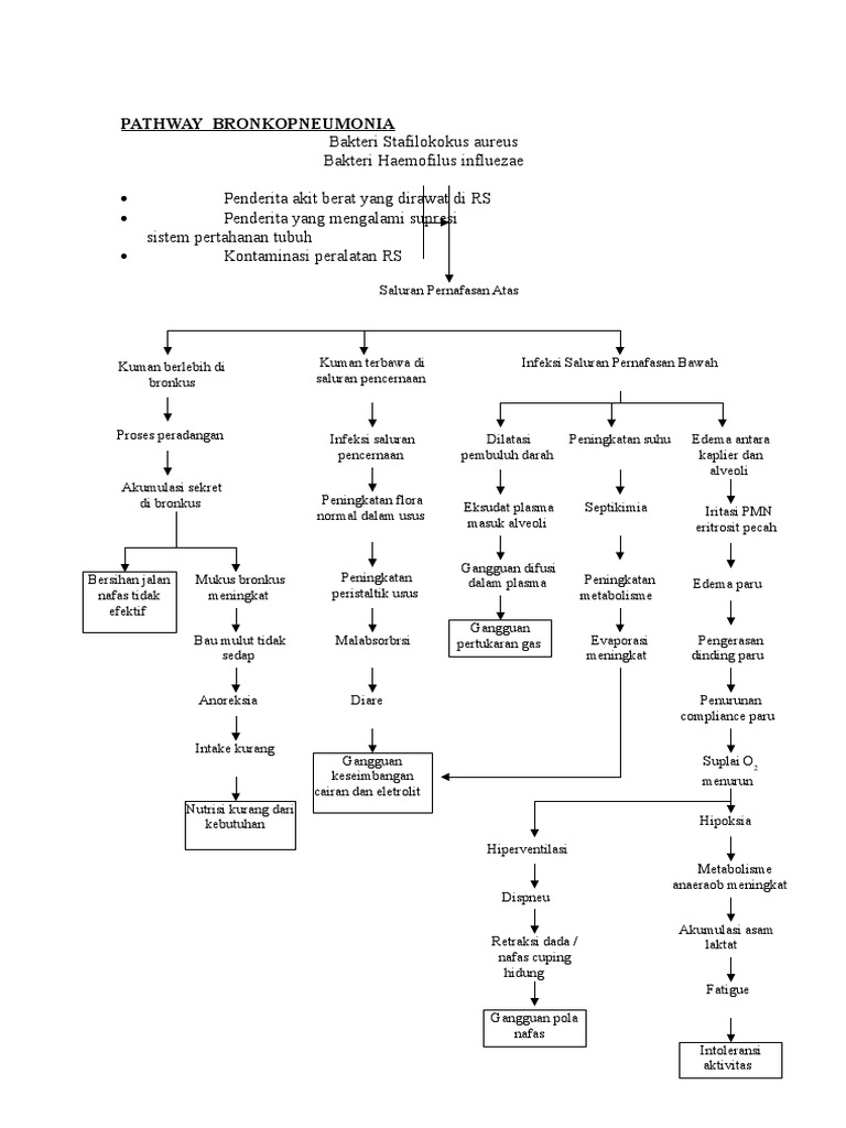Pathway Bronkopneumonia | PDF