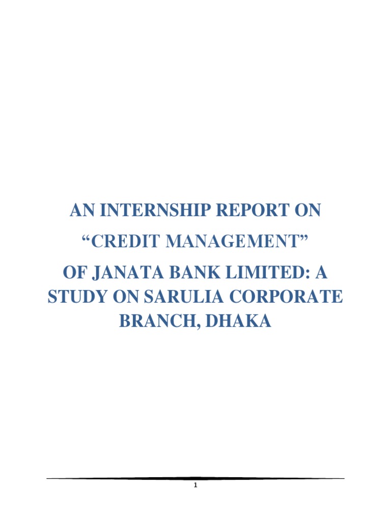 Internship Report BBA Final Jilany | PDF | Credit | Finance & Money ...