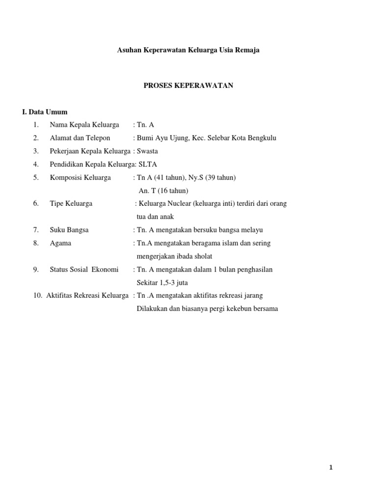 Asuhan Keperawatan Keluarga Usia Remaja | PDF