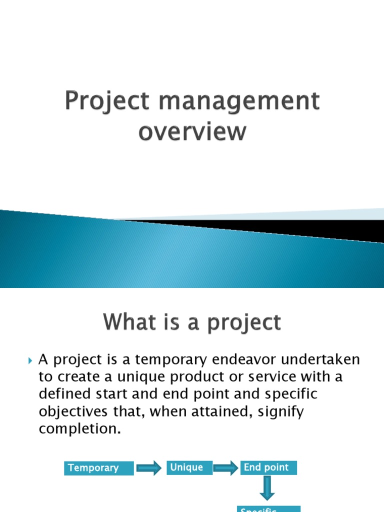 Fundamentals of Project Management | Download Free PDF | Project ...