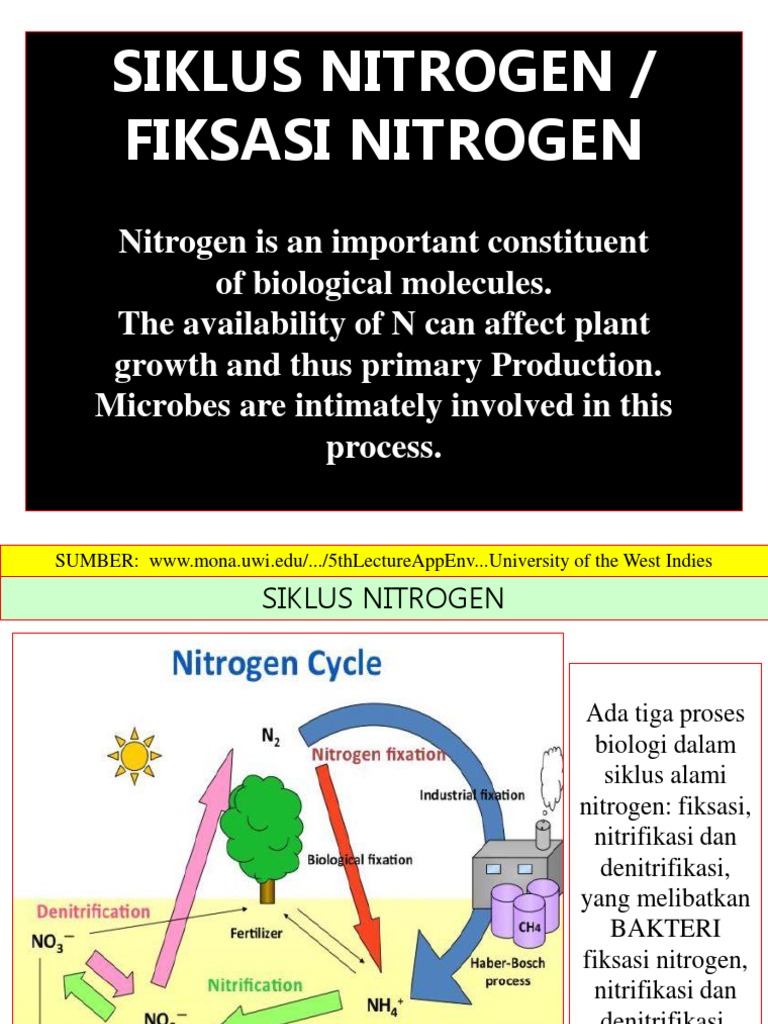 Dasar Ilmu Tanah Fiksasi Nitrogen | PDF