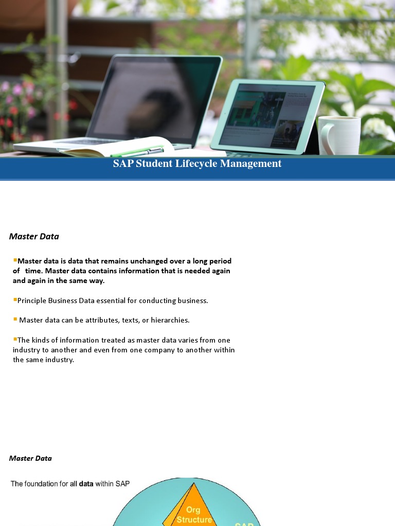Sap Master Data Management Overview Pdf