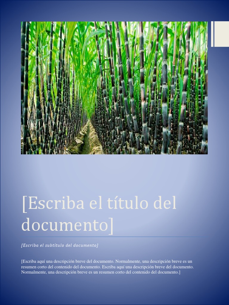 Iso 22000 Proceso de Azucar | PDF | Análisis de Riesgo y Puntos ...