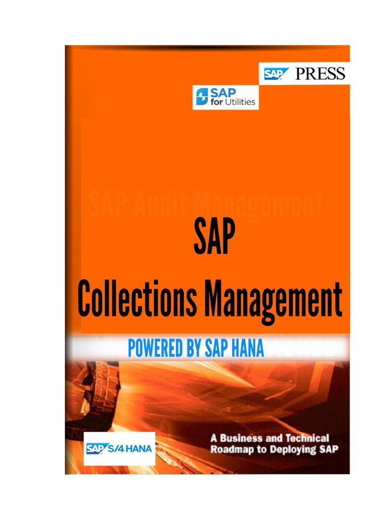Collections Management | PDF | Credit Risk | Derivative (Finance)
