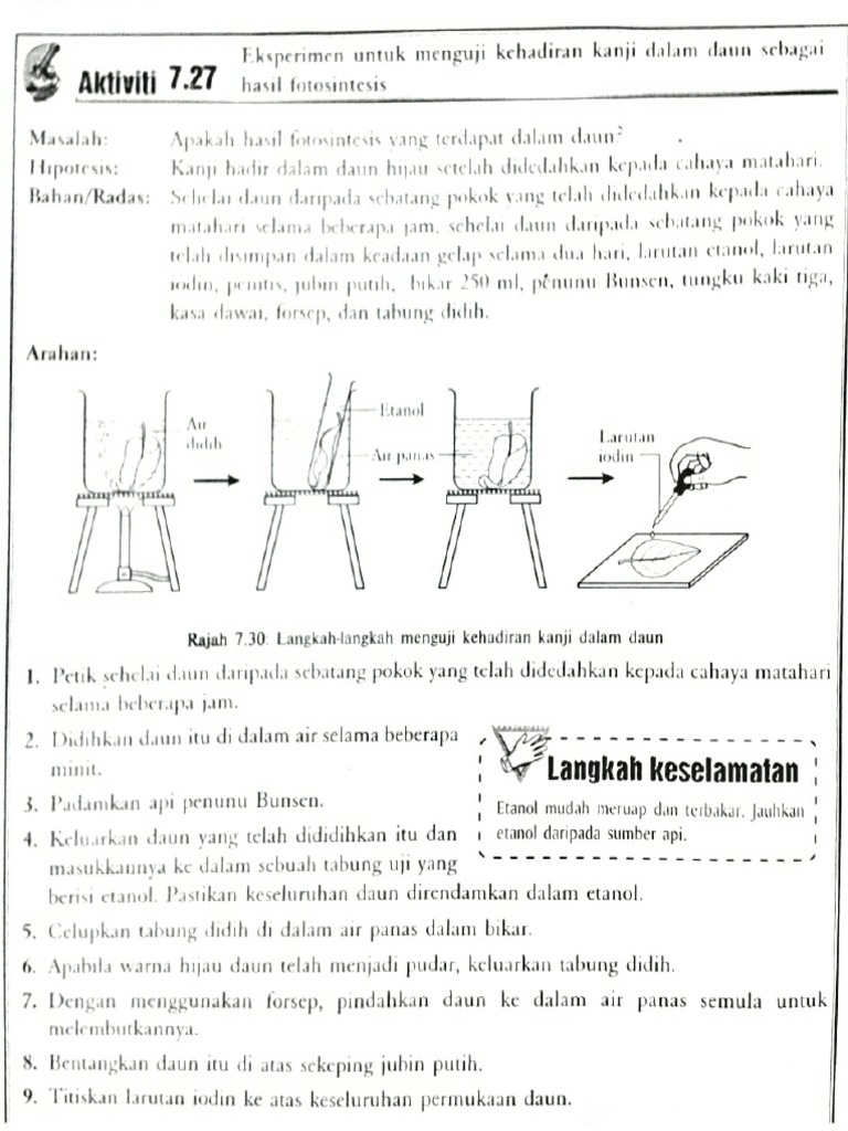 Amali 2 Bio Am | PDF