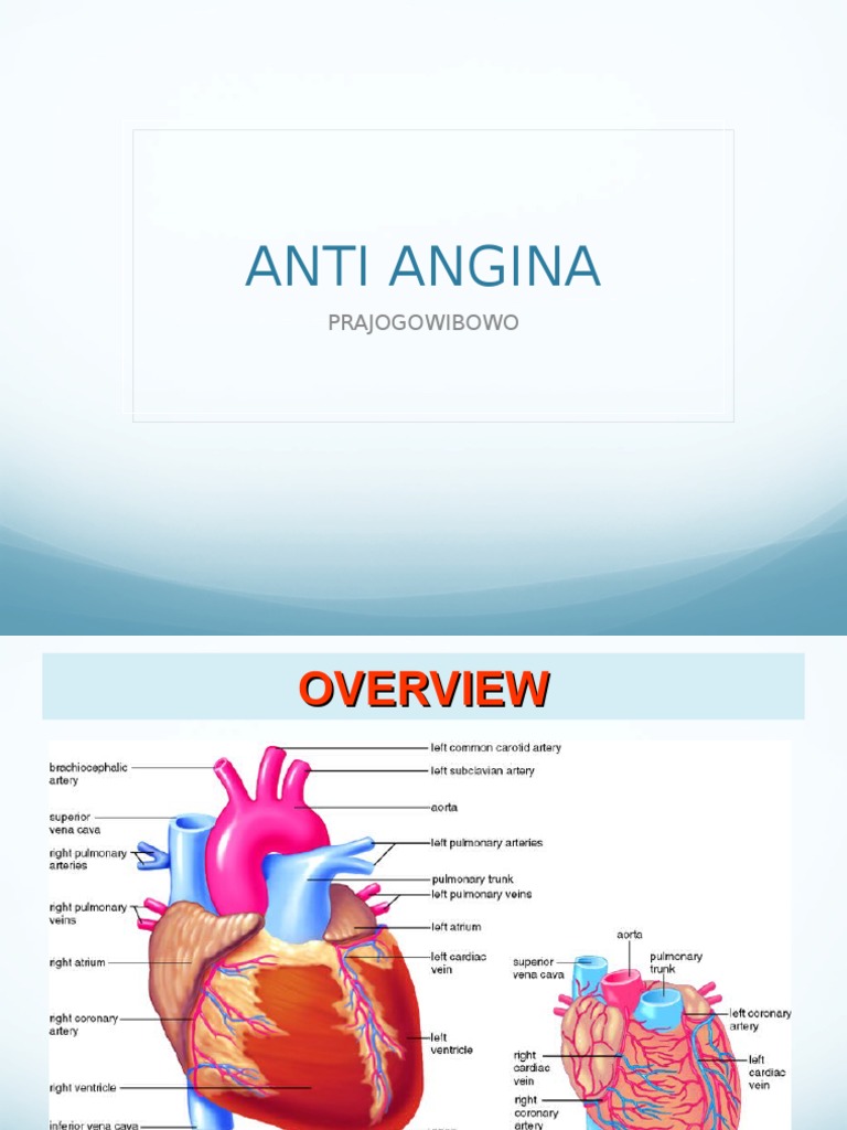 Antiangina 2016 | PDF | Coronary Circulation | Cardiology