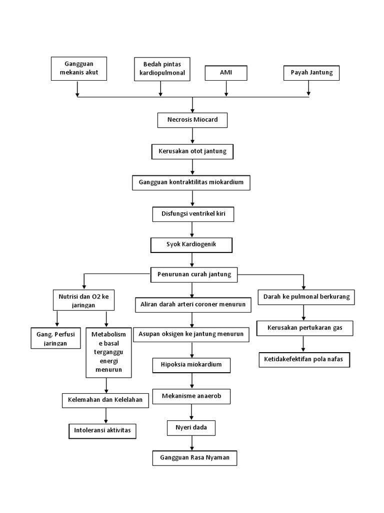 Pathway Syok Kardio | PDF