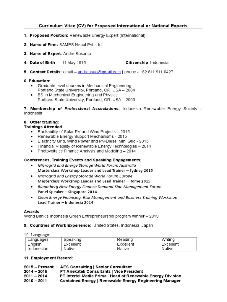 Andre Susanto CV in ADB CV Format | PDF | Distributed Generation | Off The Grid