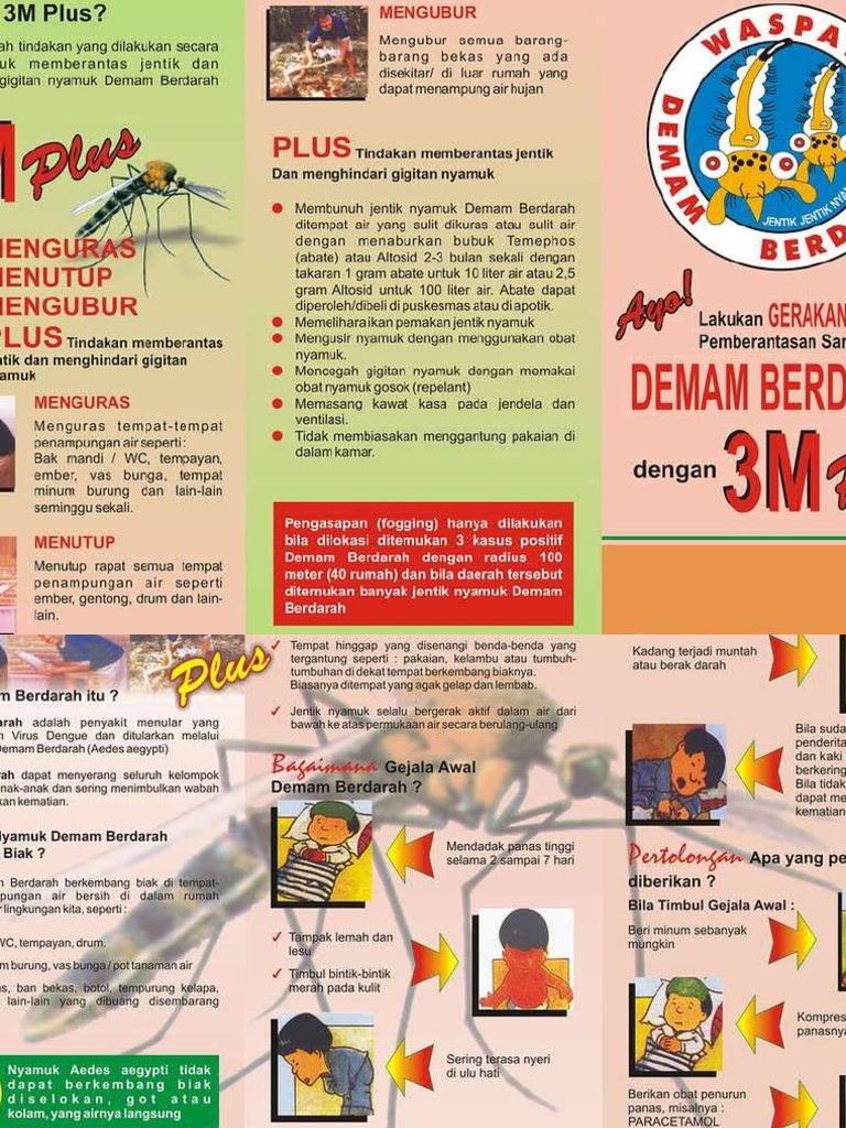 Leaflet DBD Demam Berdarah | PDF