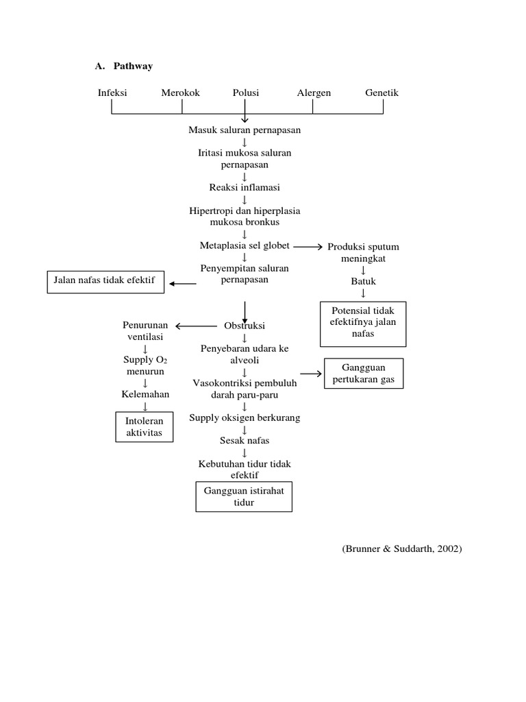 Pathway Asma Bayu | PDF
