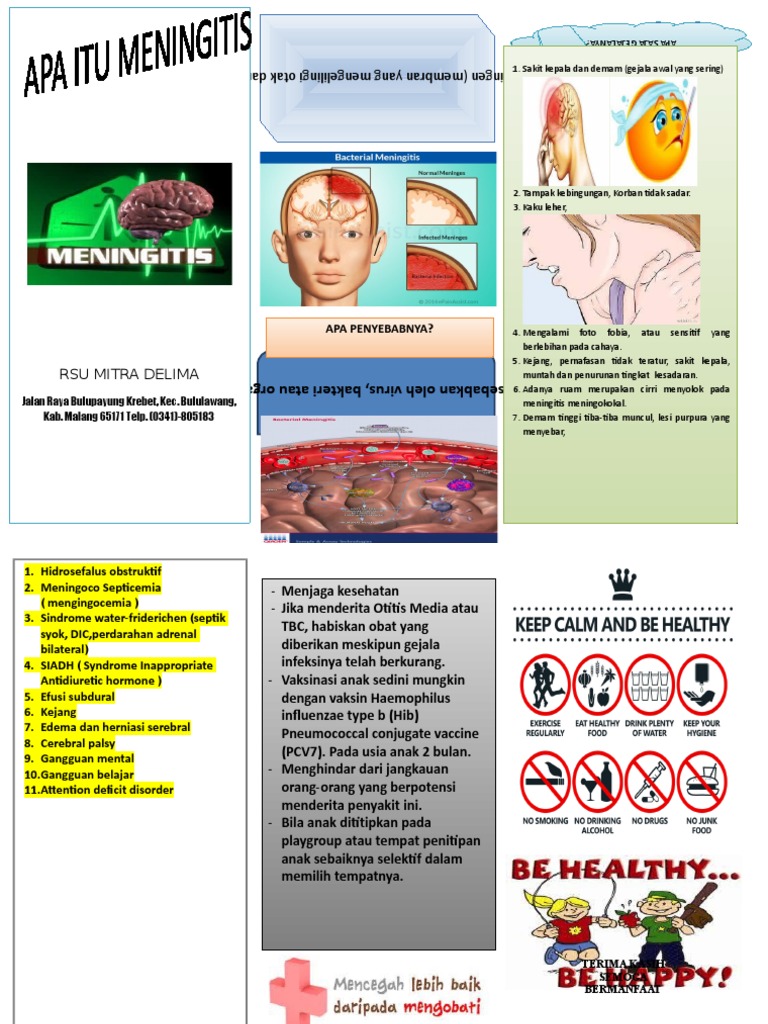 Leaflet Meningitis | PDF