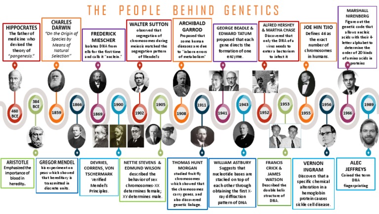 Frederick Miescher Walter Sutton Archibald Garrod Joe Hin Tjio | PDF ...