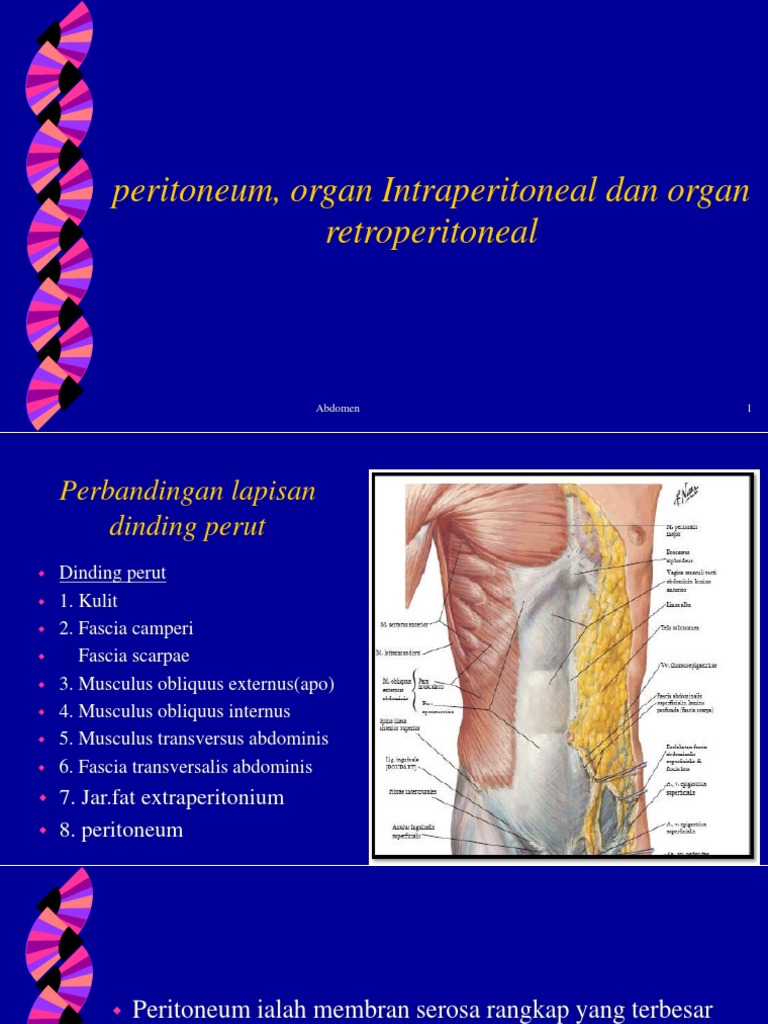 SALTD SPRSS dan SADPUCKER, organ Intra dan Retroperitoneal | PDF