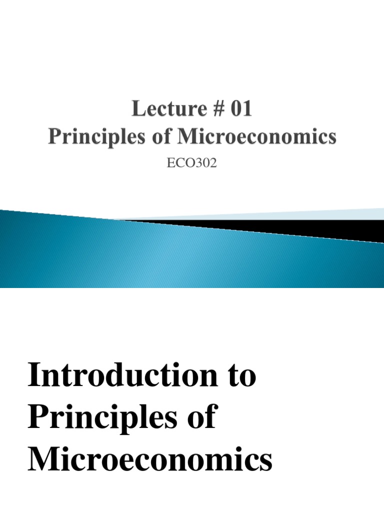 MICROECONOMICS SLIDES | Resource | Microeconomics
