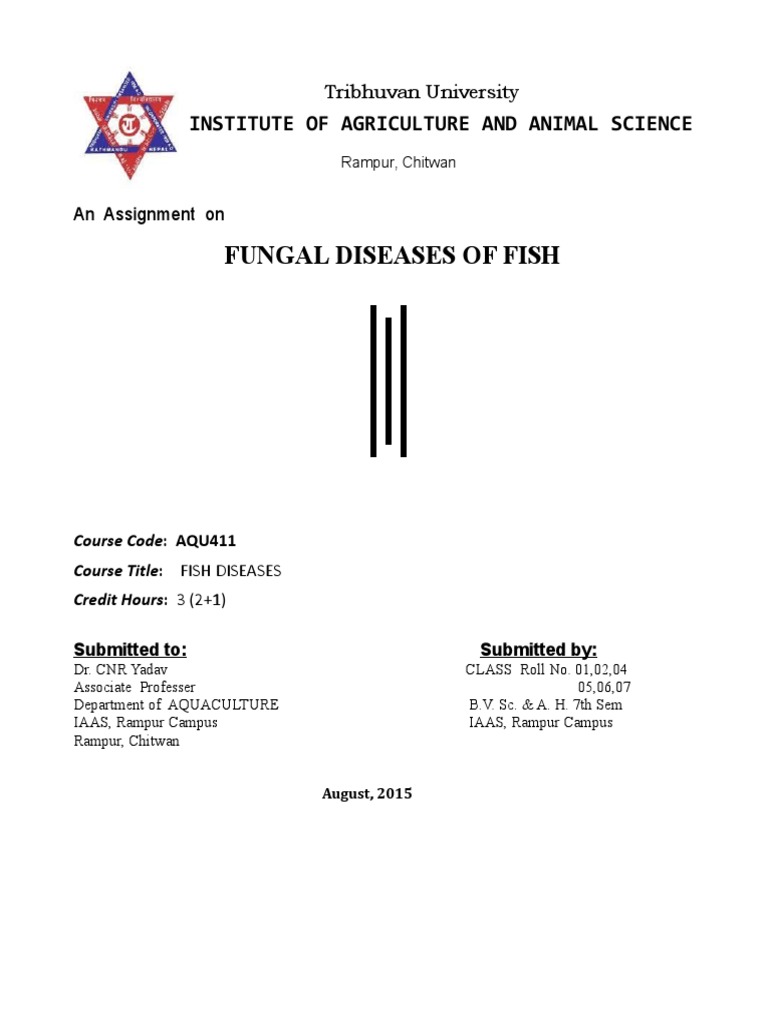 Fungal Diseases of Fish Assignment | PDF
