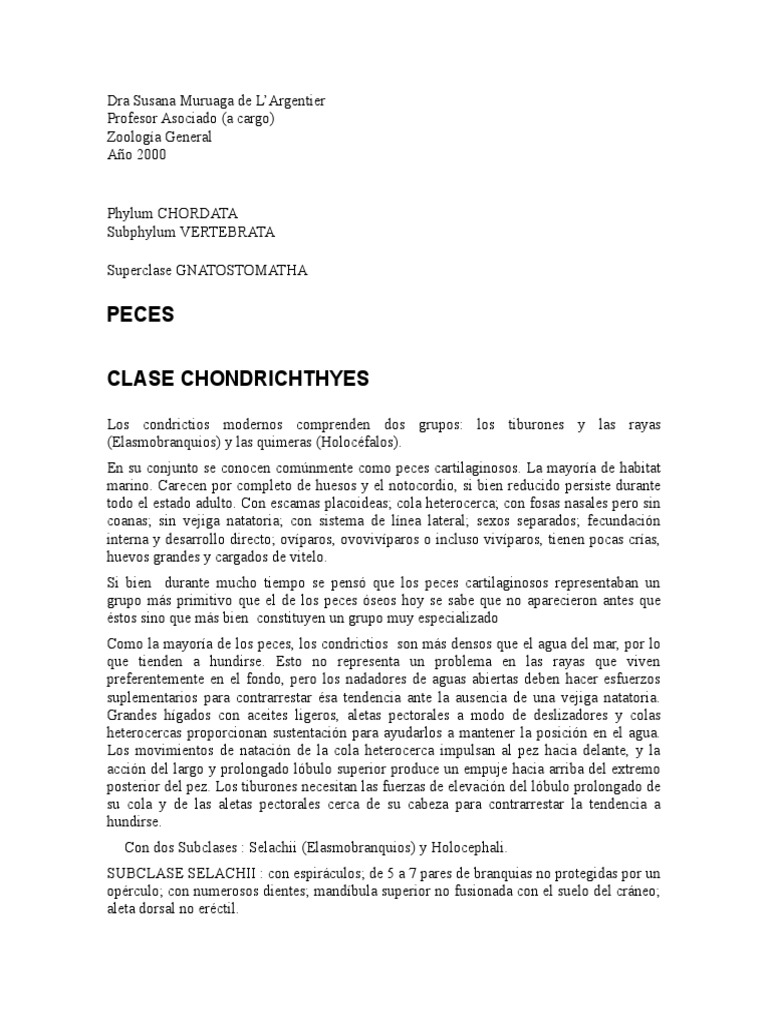 Peces Cartilaginosos: Tiburones y Rayas | PDF | Vena | Sistema ...