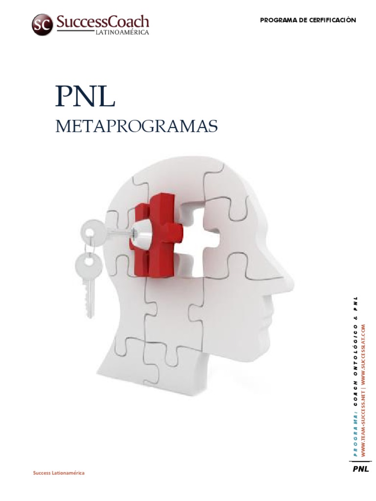 Coach Metaprogramas | PDF | Mente | Información