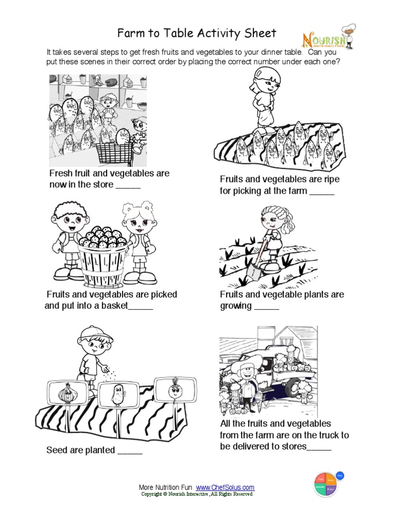Farm To Table Activity Sheet | PDF