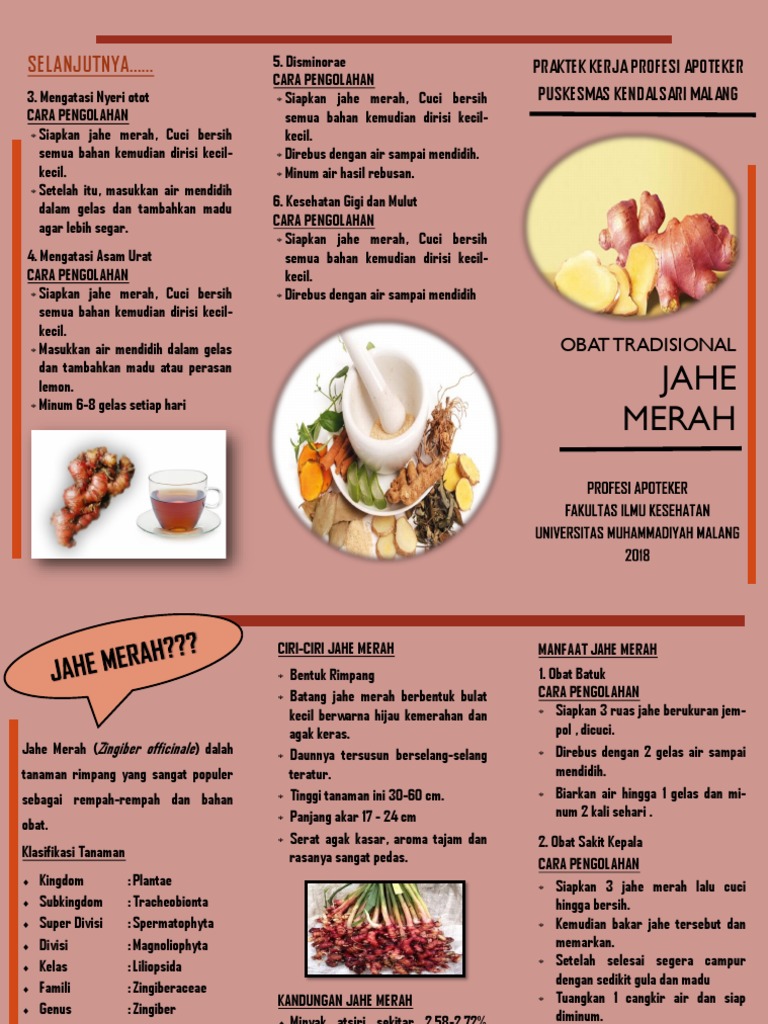 Leaflet Jahe Merah PDF | PDF