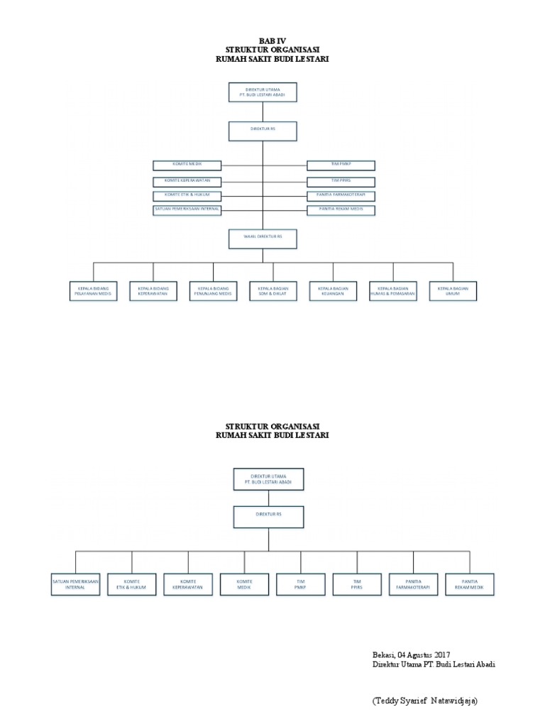 Bagan Struktur Organisasi RSBL | PDF