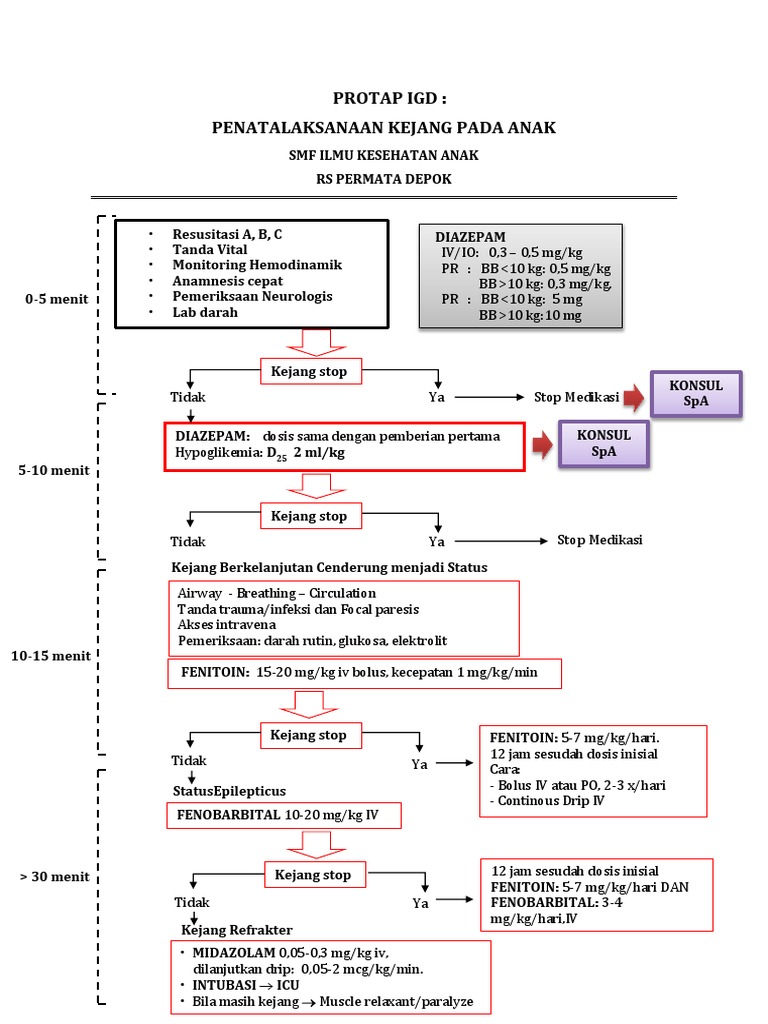 Protap Igd Kejang Pada Anak | PDF