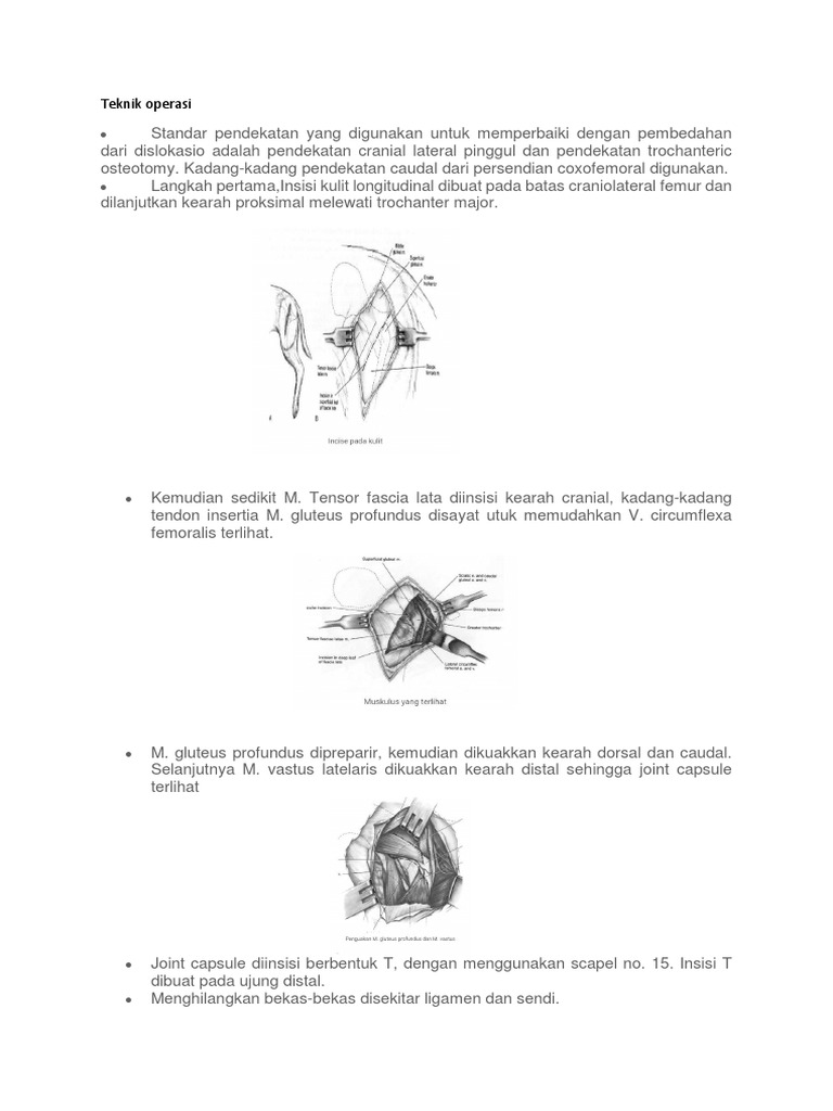 Teknik Operasi Luxatio Coxofemoralis | PDF | Sains & Matematika