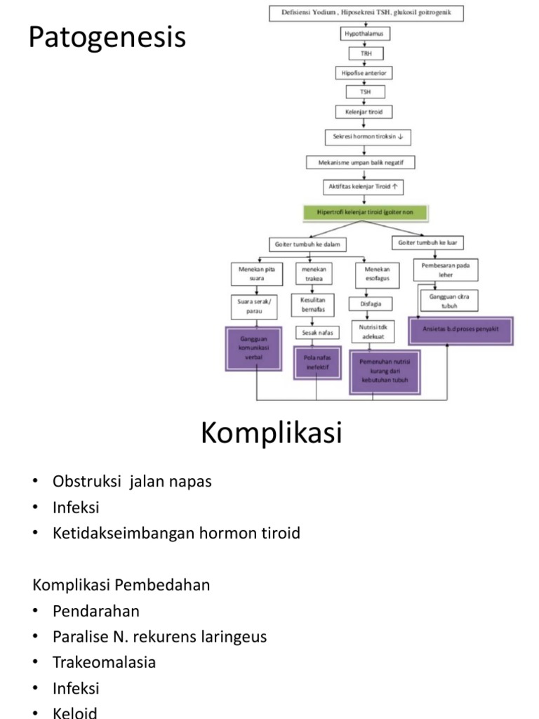 SNNT Pathway | PDF | Sains & Matematika