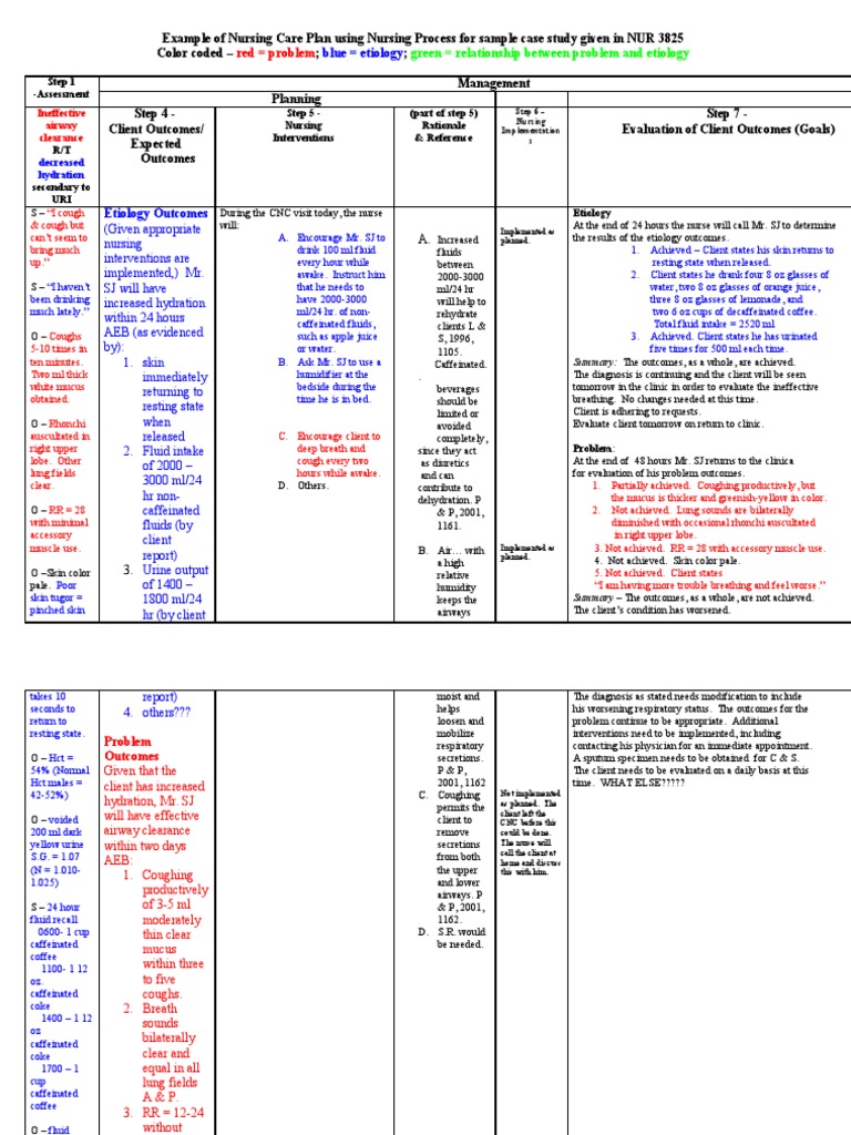 Sample NCP in Format Color Coded | PDF | Caffeine | Breathing