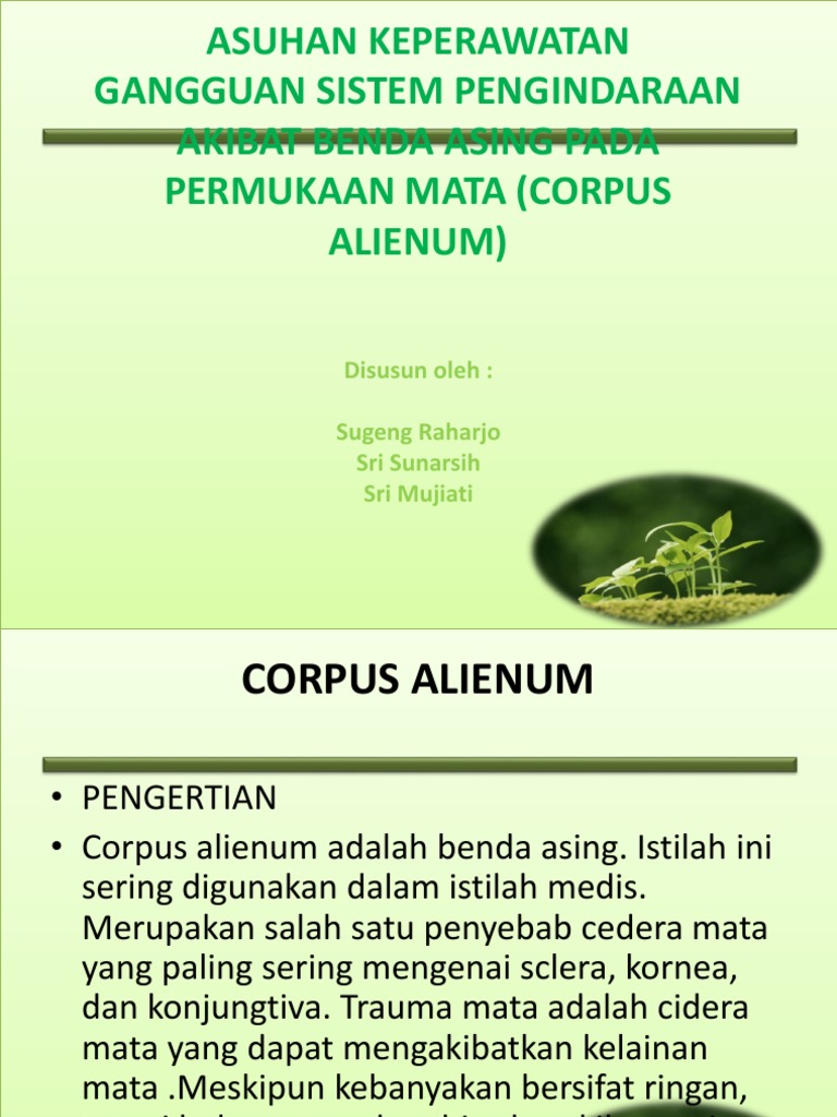 Askep Corpus Alienum PD Mata | PDF