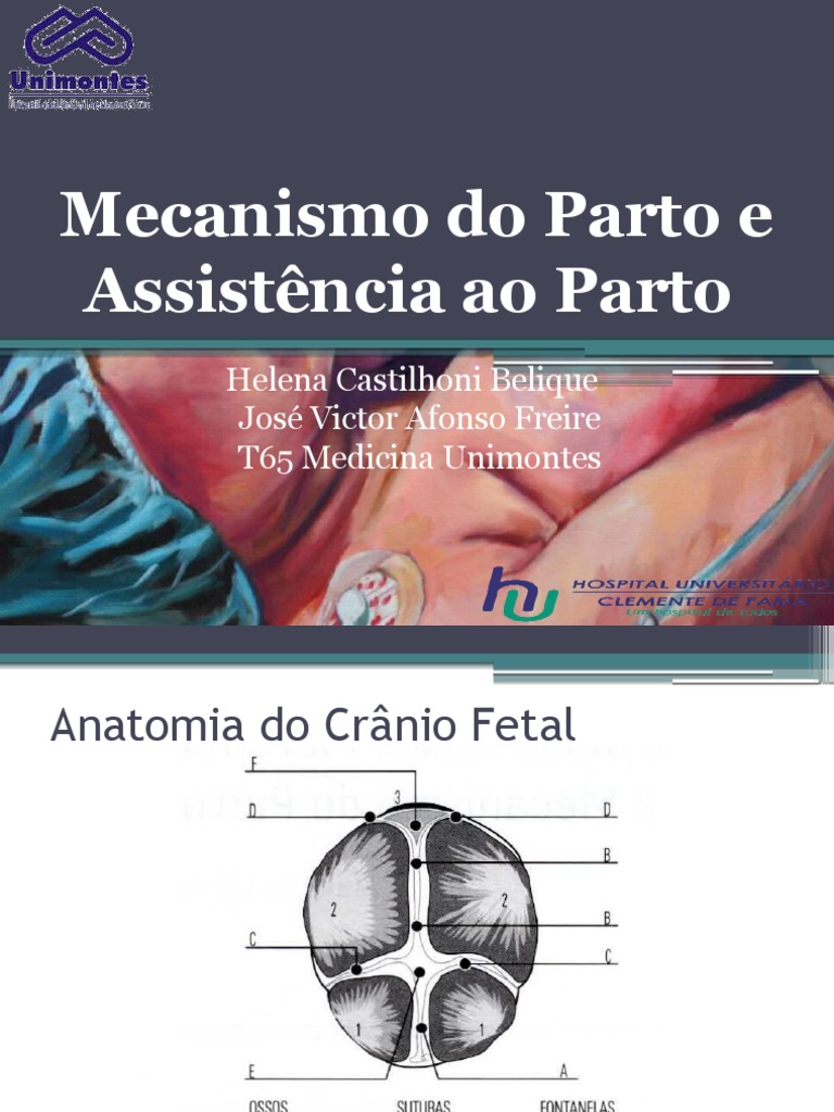 Mecanismo do Parto e Assistência ao Trabalho de Parto | Parto | Placenta