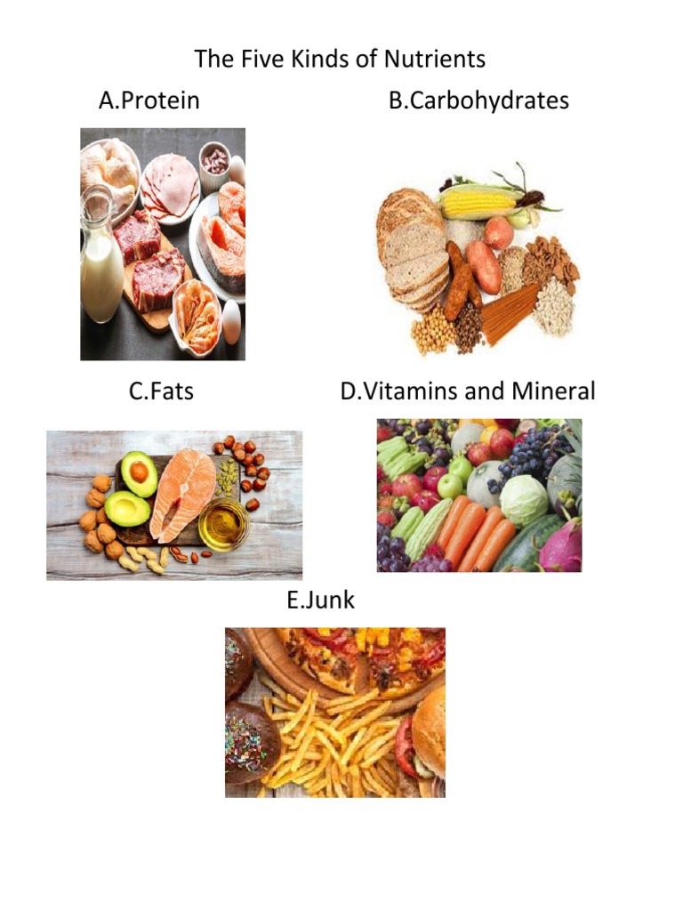 The Five Kinds of Nutrients A.Protein B.Carbohydrates | PDF