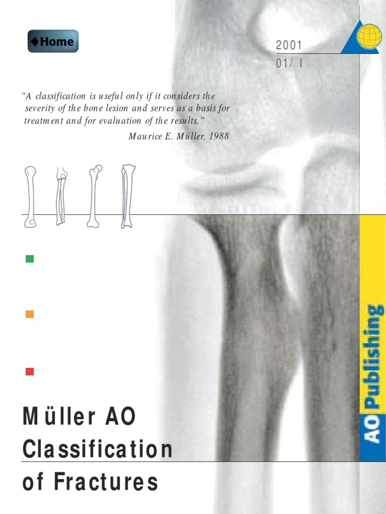 Müller AO Classification of Fractures: Long Bones | PDF | Limbs ...