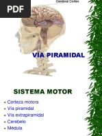 Códigos FONASA 2022 | PDF | Medicina de rehabilitación | Terapia