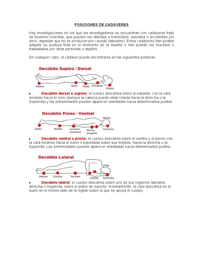 Posiciones de Cadáveres | PDF | Naturaleza