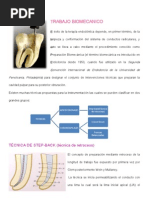 Tecnicas Apico Coronal | PDF | Ramas de Odontología