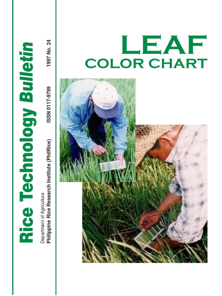 Leaf Color Chart English PDF | PDF | Rice | Horticulture And Gardening