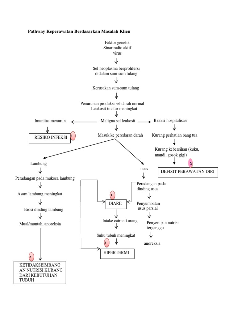 Pathway Leukimia | PDF