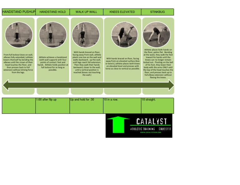 Skills Progression Flowchart Hspu PDF | PDF | Anatomical Terms Of ...