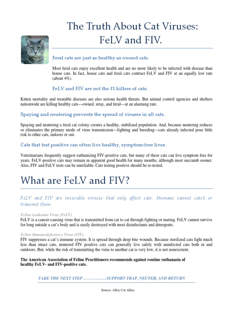 Understanding FeLV and FIV in Cats | PDF